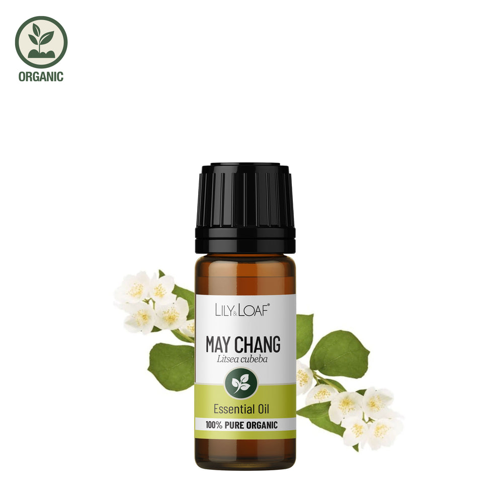 May Chang Essential Oil 10ml | Lily & Loaf