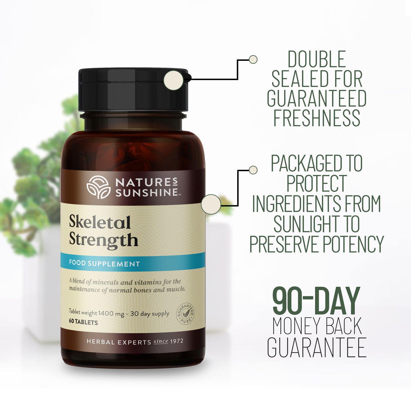 Skeletal Strength Tablets | Nature's Sunshine | Lily & Loaf