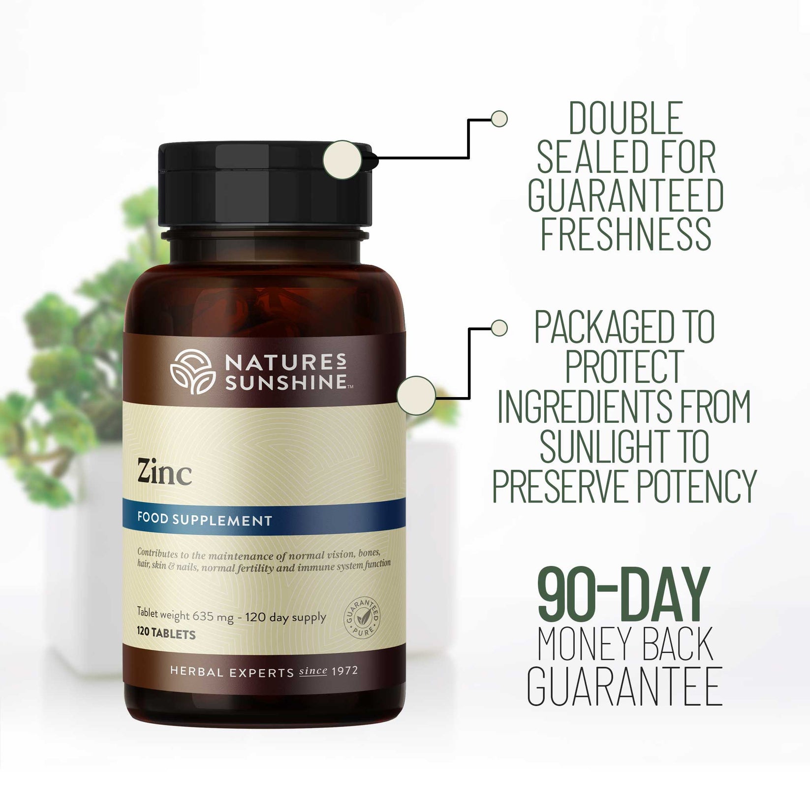 Zinc Supplement | Nature's Sunshine | Lily & Loaf